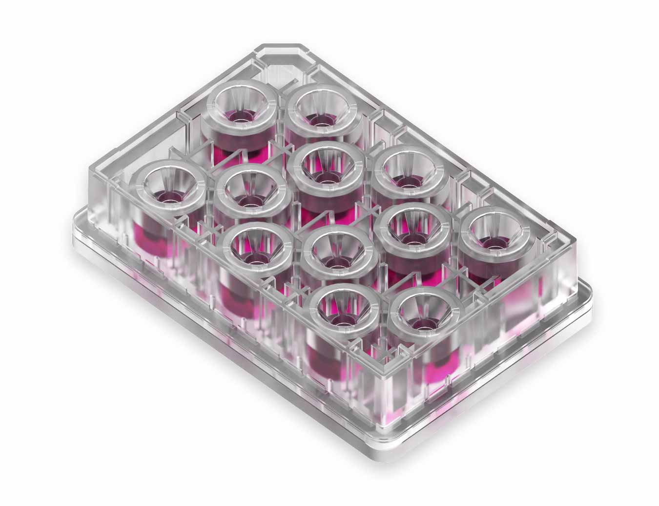 Barrier Models | PhysioMimix® Barrier Plates | CN Bio