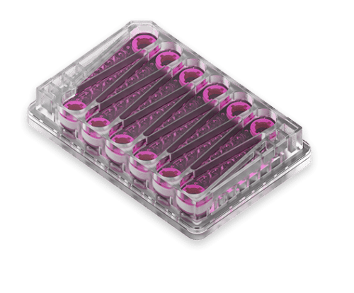 PhysioMimix™ multi-chip plates - CN Bio