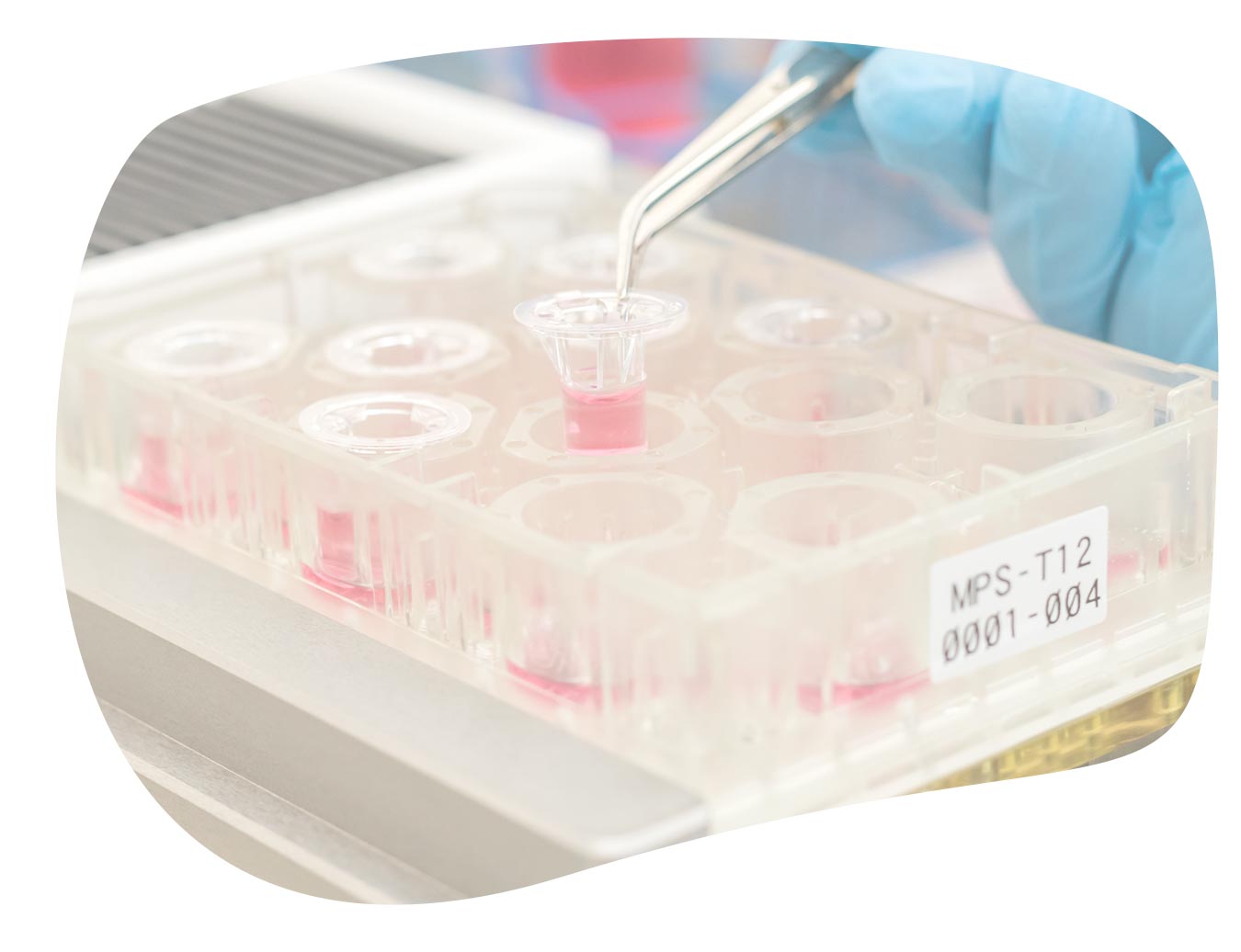 In Vitro ADME Services | Organ-on-a-Chip Studies | CN Bio