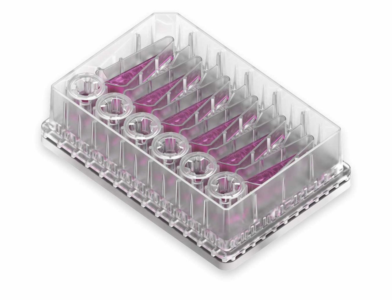 PhysioMimix® Dual-organ plate - CN Bio