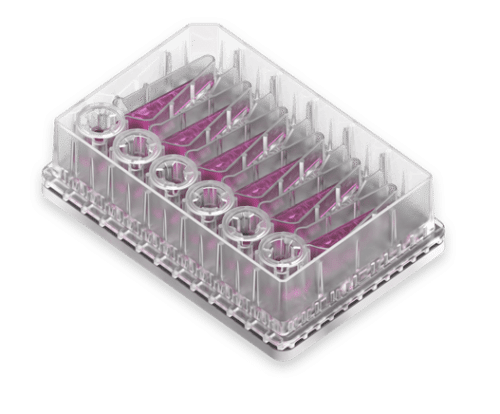 Should Caco-2 cells retain gold-standard status? | CN Bio