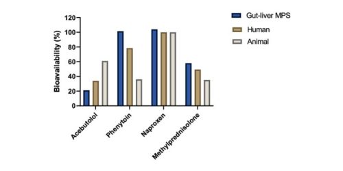 Predict Human Oral Drug Bioavailability | In-Vitro Assay