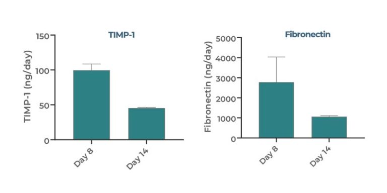 PhysioMimix In Vitro Human MASH/NASH Fibrosis Assay | CN Bio