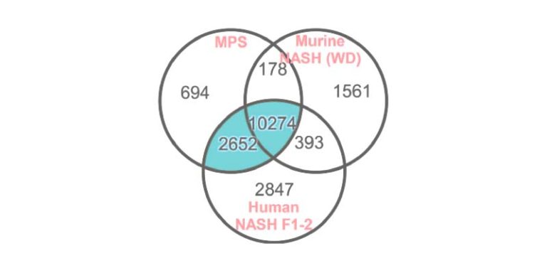 PhysioMimix In Vitro Human MASH/NASH Fibrosis Assay | CN Bio