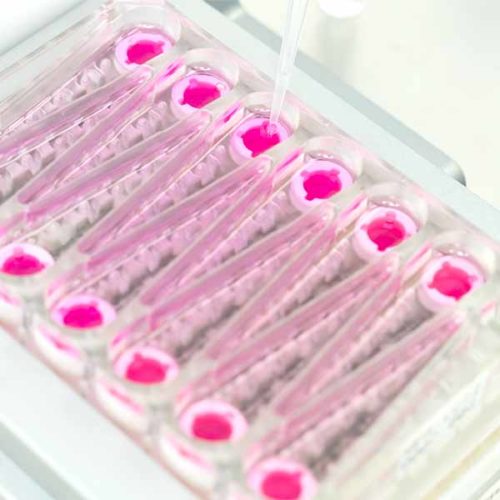 PhysioMimix® Core Microphysiological System MPS | CN Bio