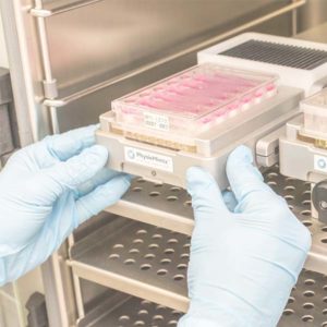 PhysioMimix® Core Microphysiological System MPS | CN Bio