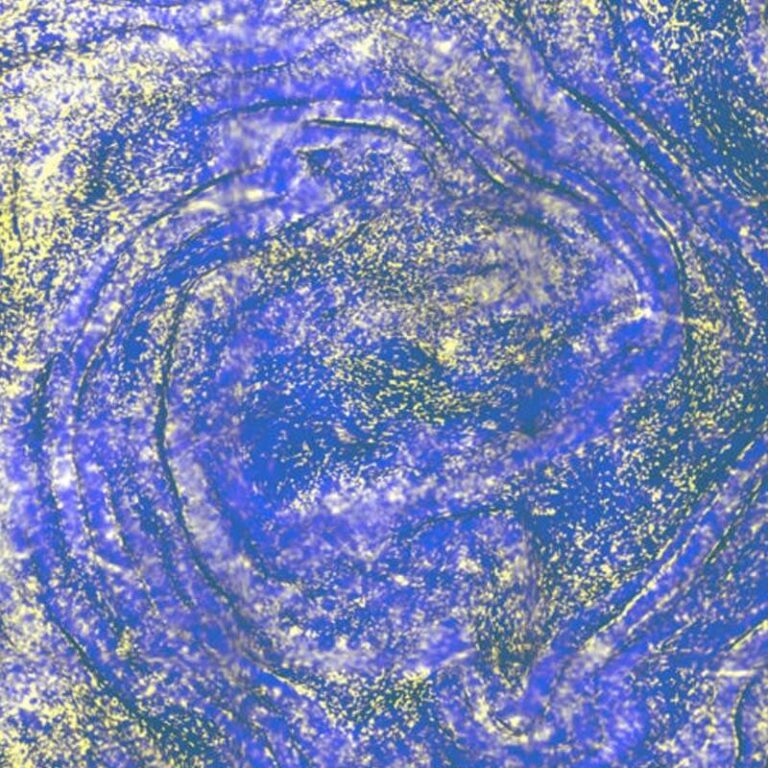 In Vitro ADME Studies | Organ-on-a-Chip Services | CN Bio