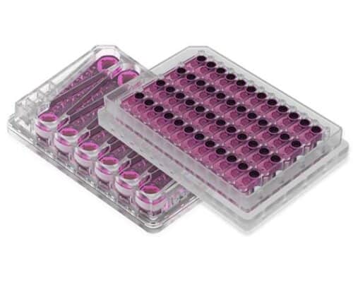 Multi-Chip Plates | Exclusive to PhysioMimix Core | CN Bio