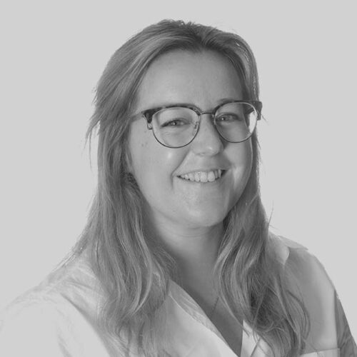 Blog | Taking organoids to the next level | CN Bio