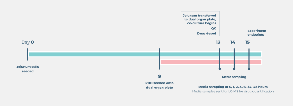 In Vitro ADME Studies | Organ-on-a-Chip Services | CN Bio