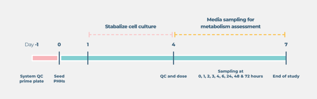 In Vitro ADME Services | Organ-on-a-Chip Studies | CN Bio