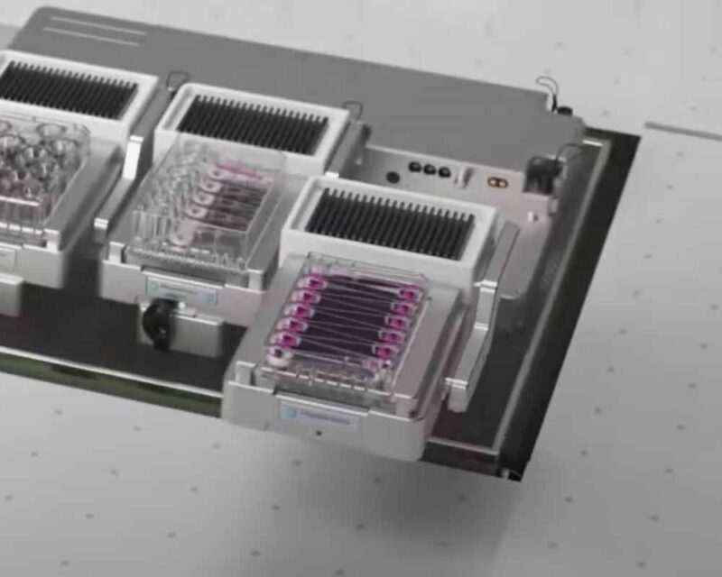 Organ on a chip technology | PhysioMimix | CN Bio